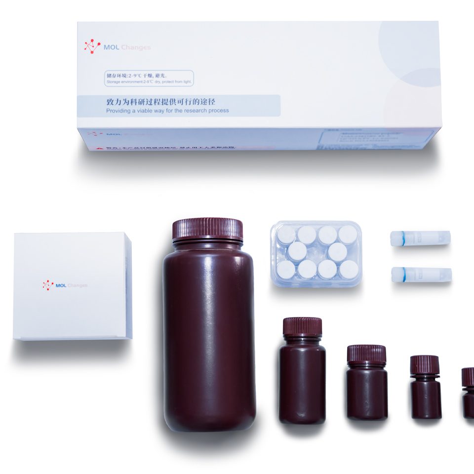 Company - MOL Changes